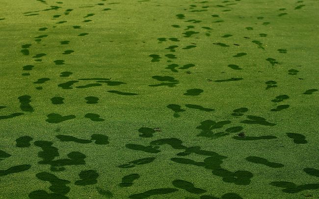 Photos: Large numbers that define the universe | Live Science