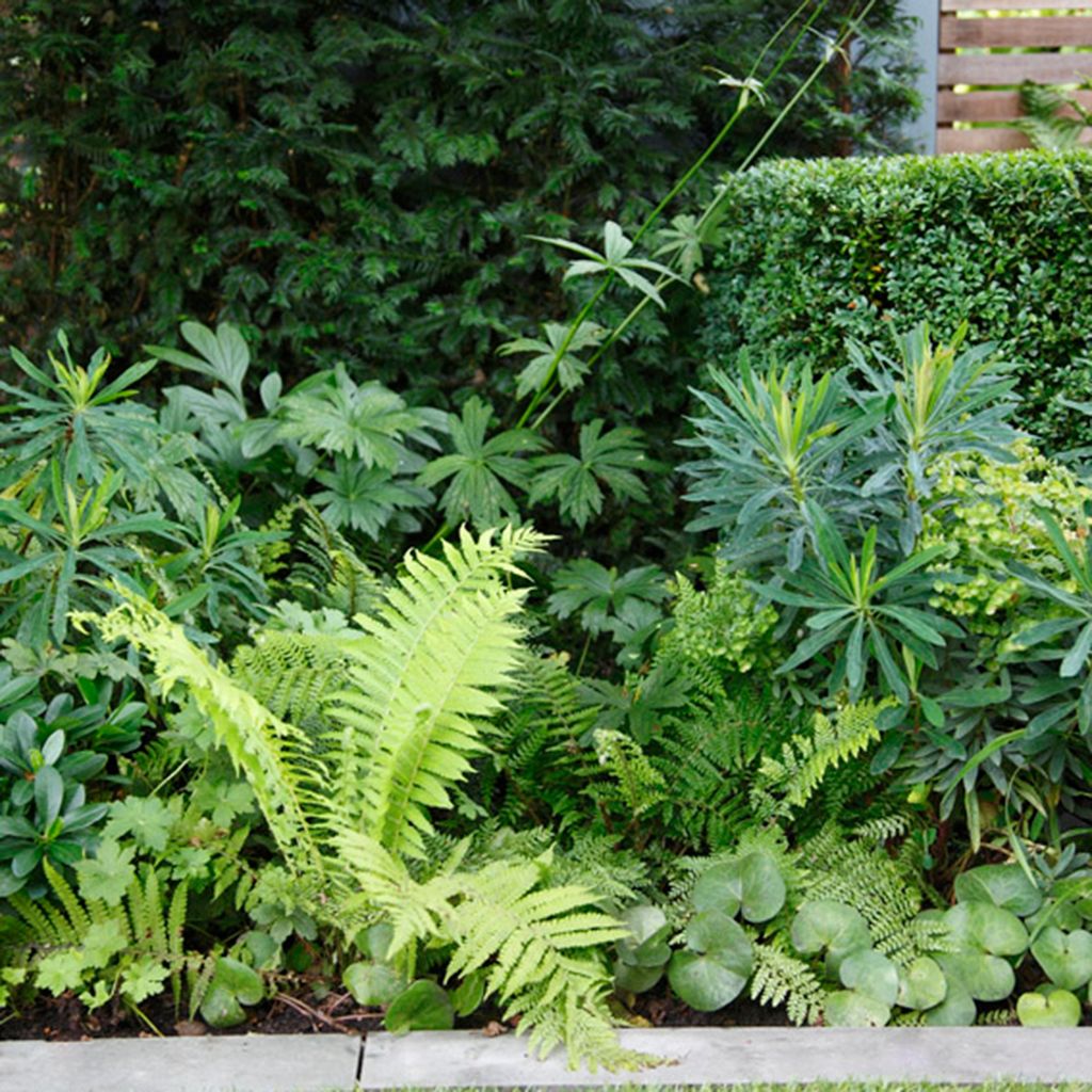 How to hide an ugly garden wall - 5 expert-approved ideas to disguise a ...