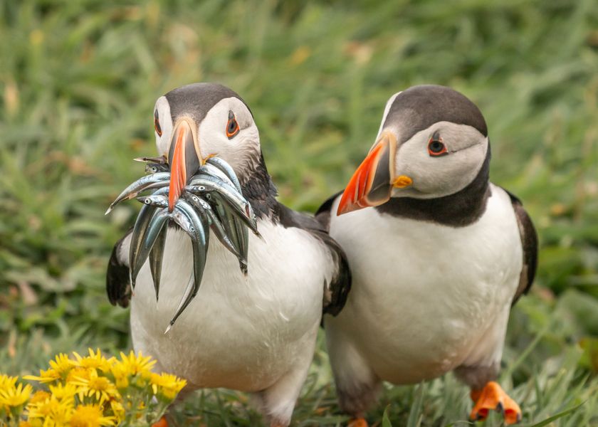 These could be the funniest animal pictures ever | Live Science