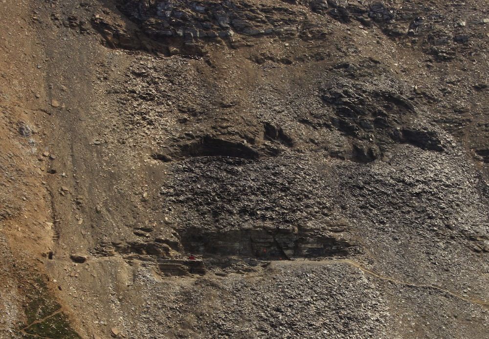 Image Gallery: A Worm Missing Link | Acorn Worms | Live Science