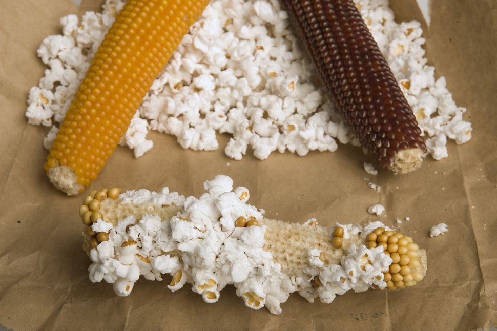 How popcorn was discovered nearly 7,000 years ago | Live Science