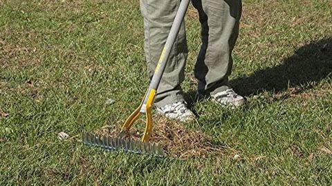 What are the different types of rakes and what do they do? | Tom's Guide