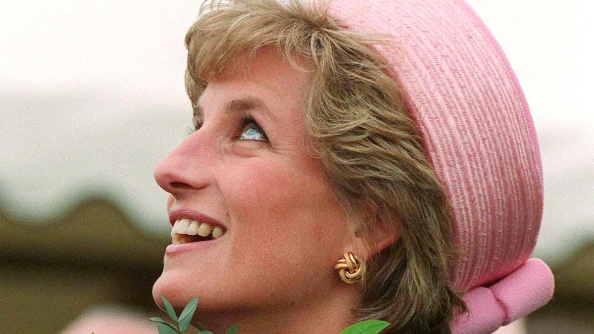 Pink Blouse from Princess Diana’s 1981 Engagement Portrait Is Expected ...