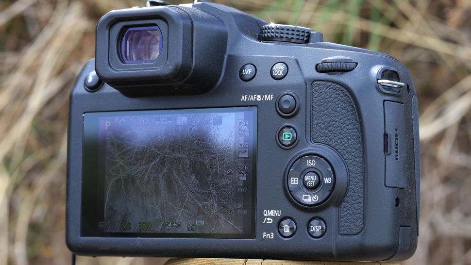 Panasonic Lumix FZ80D / FZ82D review: the bridge camera is back, but ...