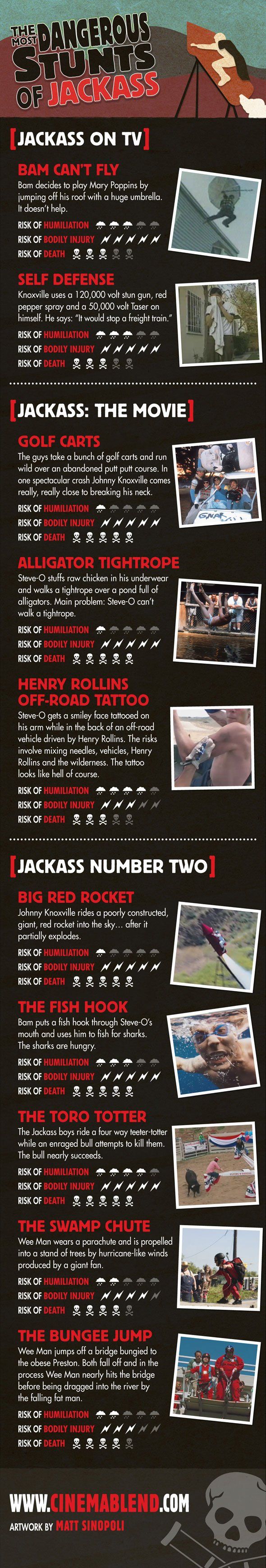 The 10 Most Dangerous Stunts Of Jackass, An Infographic | Cinemablend