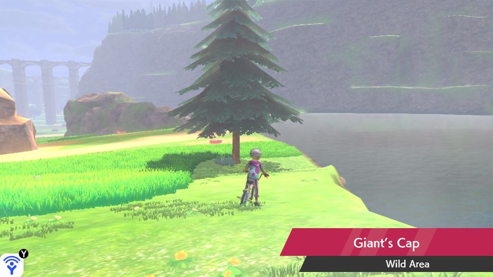 Pokemon Sword and Shield Wild Area guide and every Pokemon to catch in ...