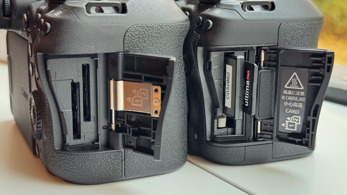 Canon EOS R6 Mark II vs R6 Mark III: What's the difference? | Digital ...
