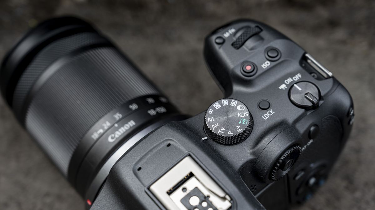 Canon EOS R7 review: the sweet spot for hobbyist shooters | TechRadar