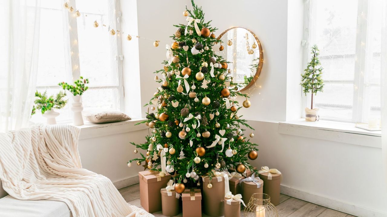 This Christmas Tree Watering System Is Genuinely Amazing. Here's Why ...
