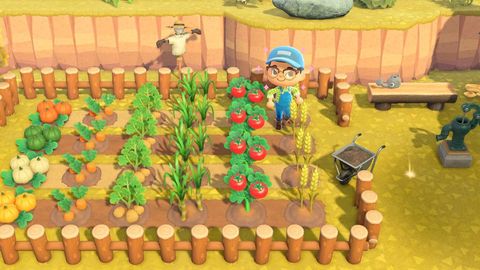 Animal Crossing: New Horizons Farming Guide — How To Buy Seeds and Grow ...