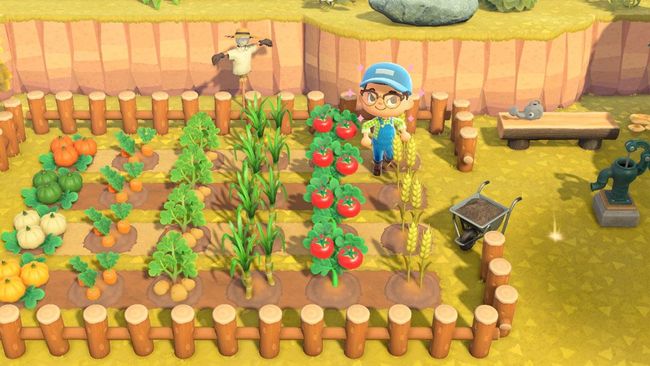 Animal Crossing: New Horizons Farming Guide — How To Buy Seeds and Grow ...