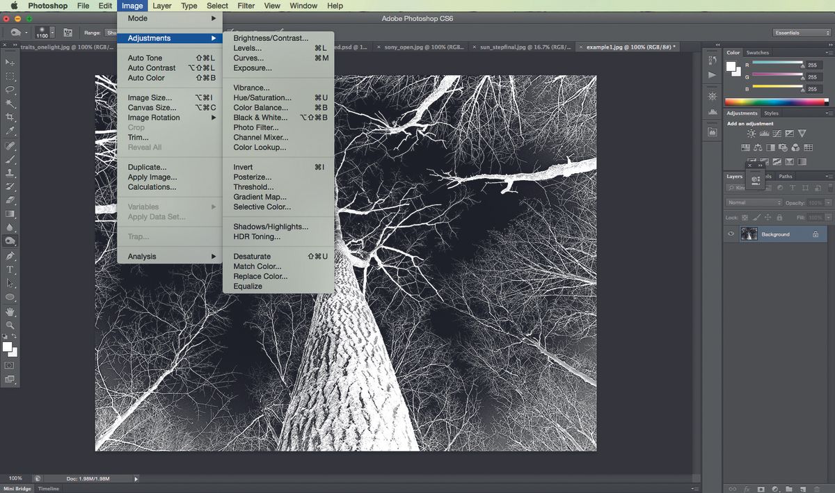 Home photography ideas: How to make a sunprint in just 30 minutes ...