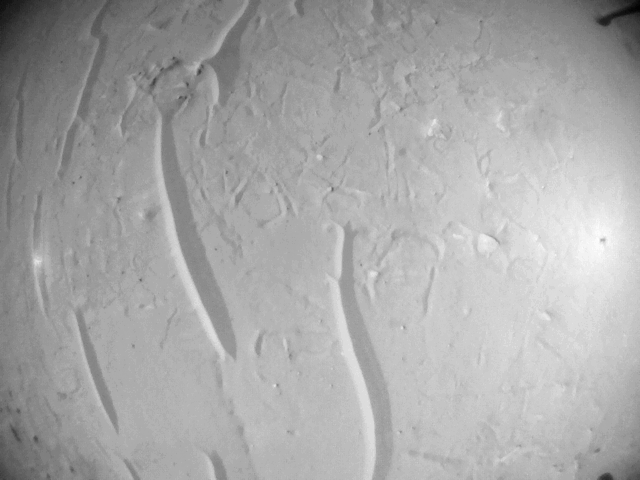 Ingenuity's milestone 50th flight is a giant leap for Mars explorers ...