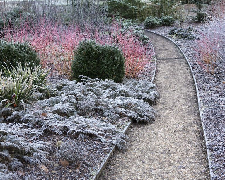 Winter jobs in the garden: 21 cold-weather chores that take care of ...
