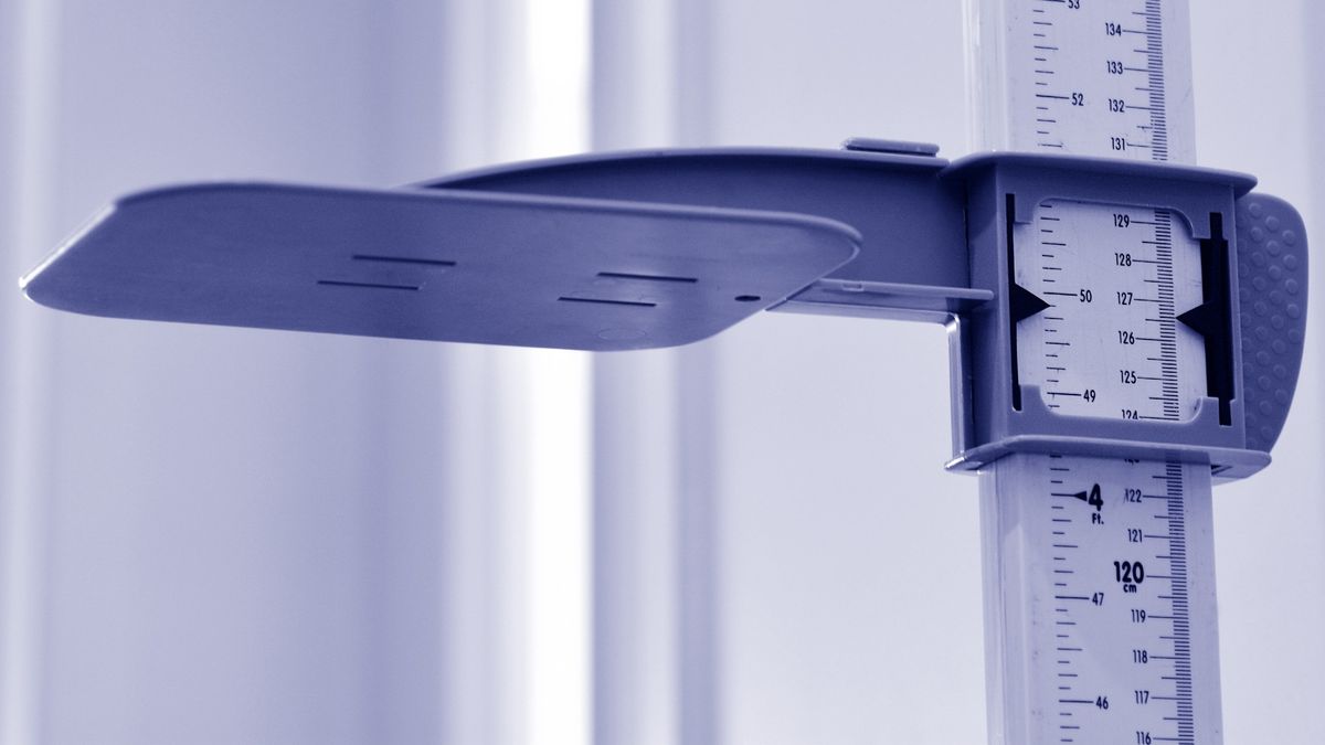 Americans are getting shorter | The Week