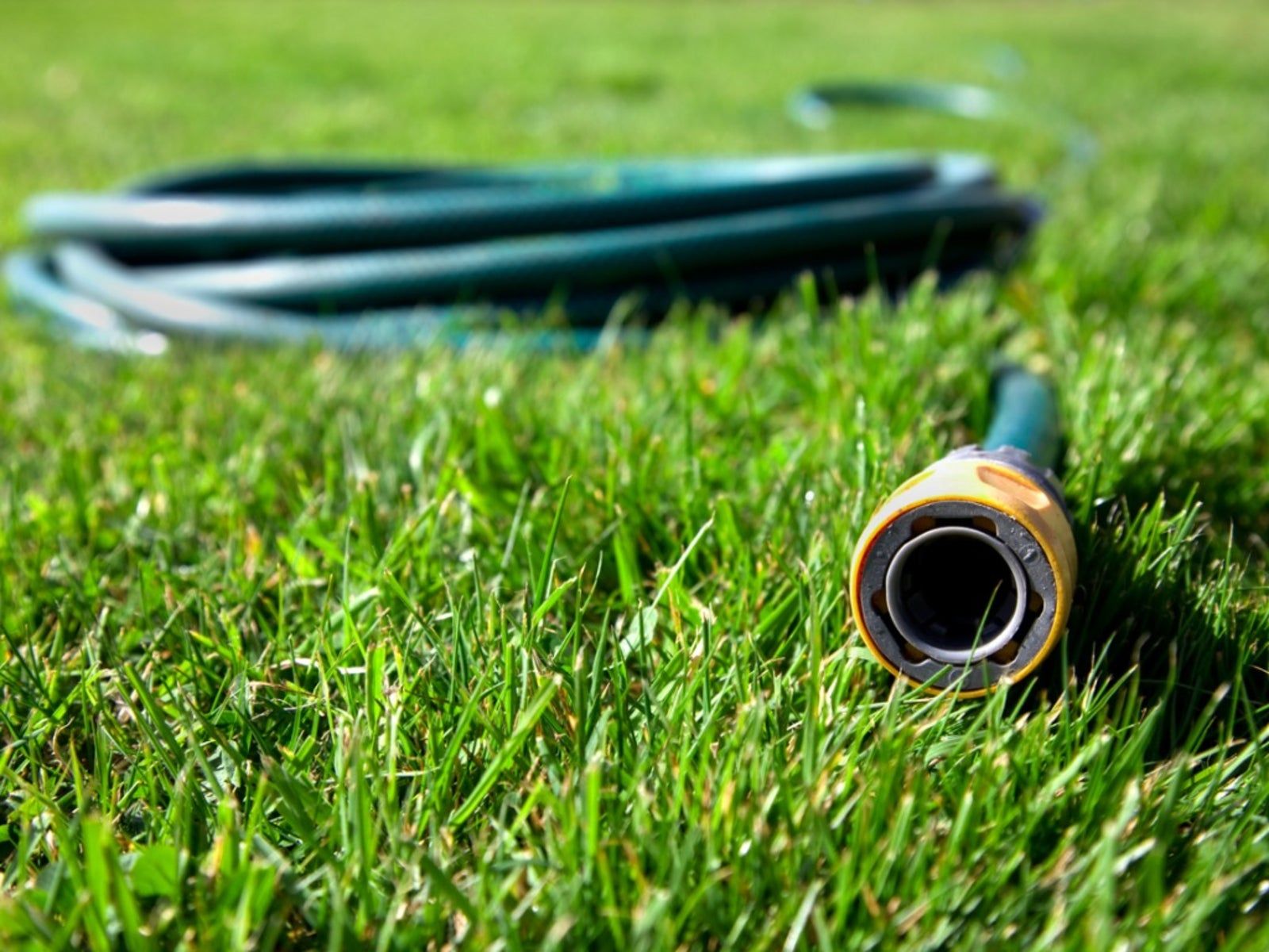 Different Types Of Garden Hoses - Learn About Various Uses For Garden ...