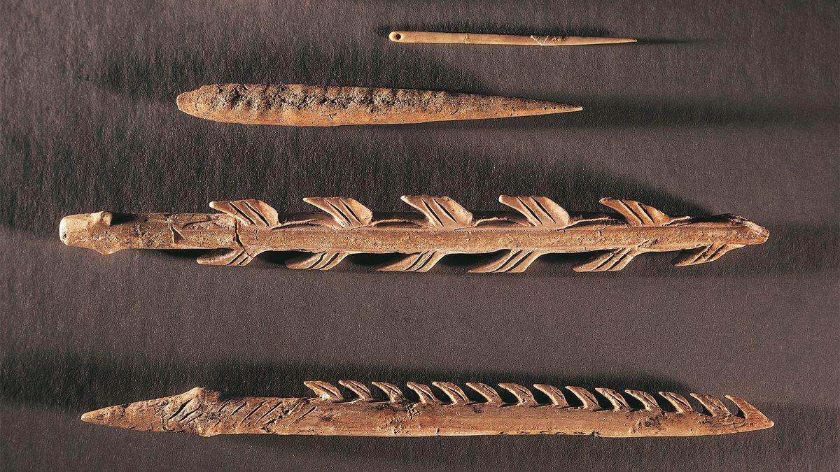 Back to the Stone Age: 17 key milestones in Paleolithic life | Live Science