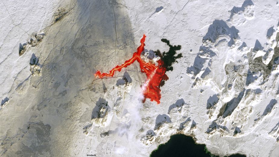 Articles by Sascha Pare, Trainee staff writer | Live Science