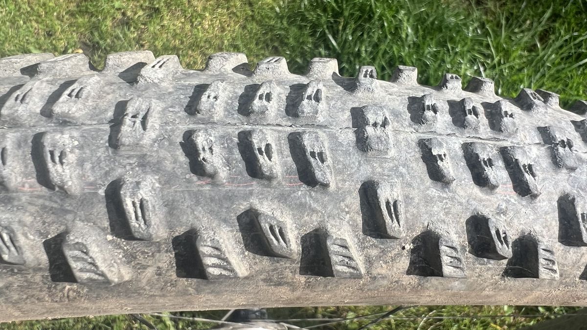 Schwalbe Racing Ralph review | Bike Perfect