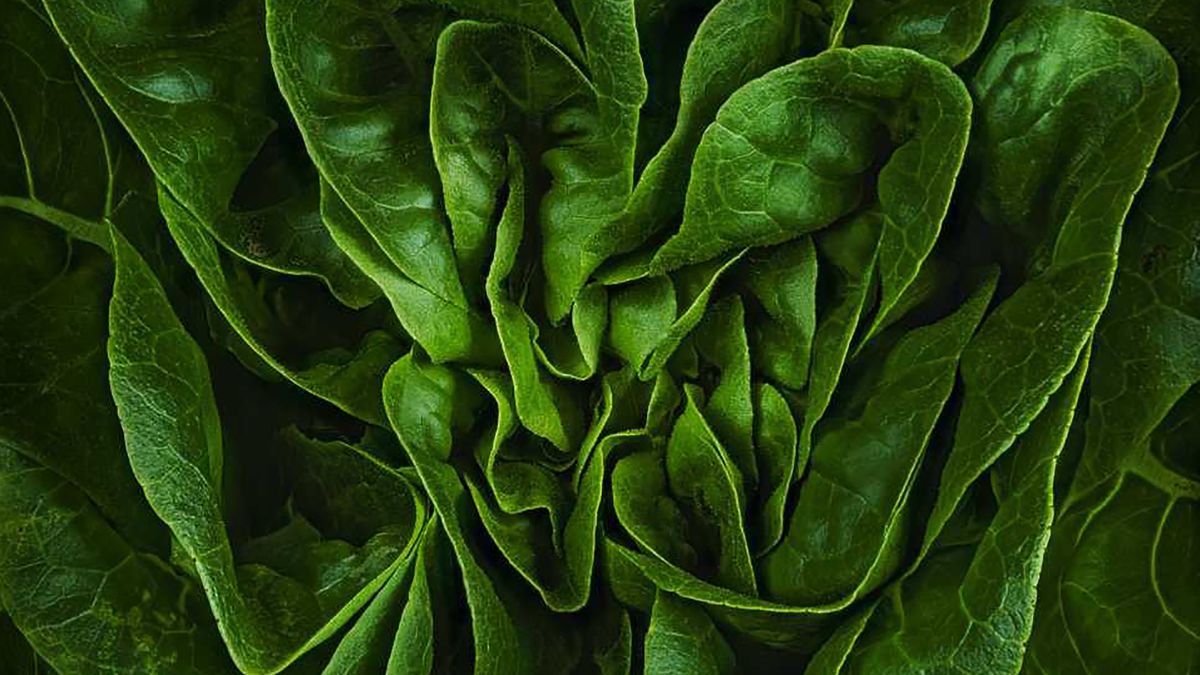 These mouth-watering photographs are good enough to eat! | Digital ...