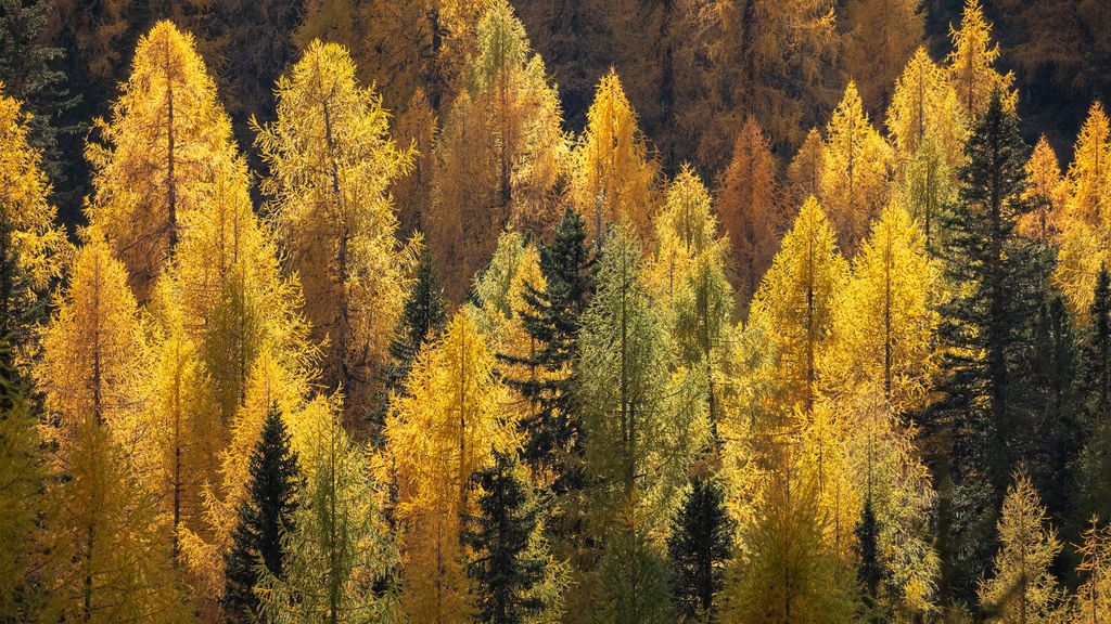 "The Dolomites are badass. The mountains are so spiky and aggressive ...