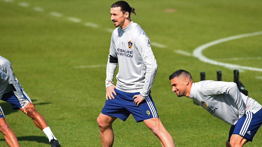 The lion is hungry – Ibrahimovic eager for MLS success | FourFourTwo