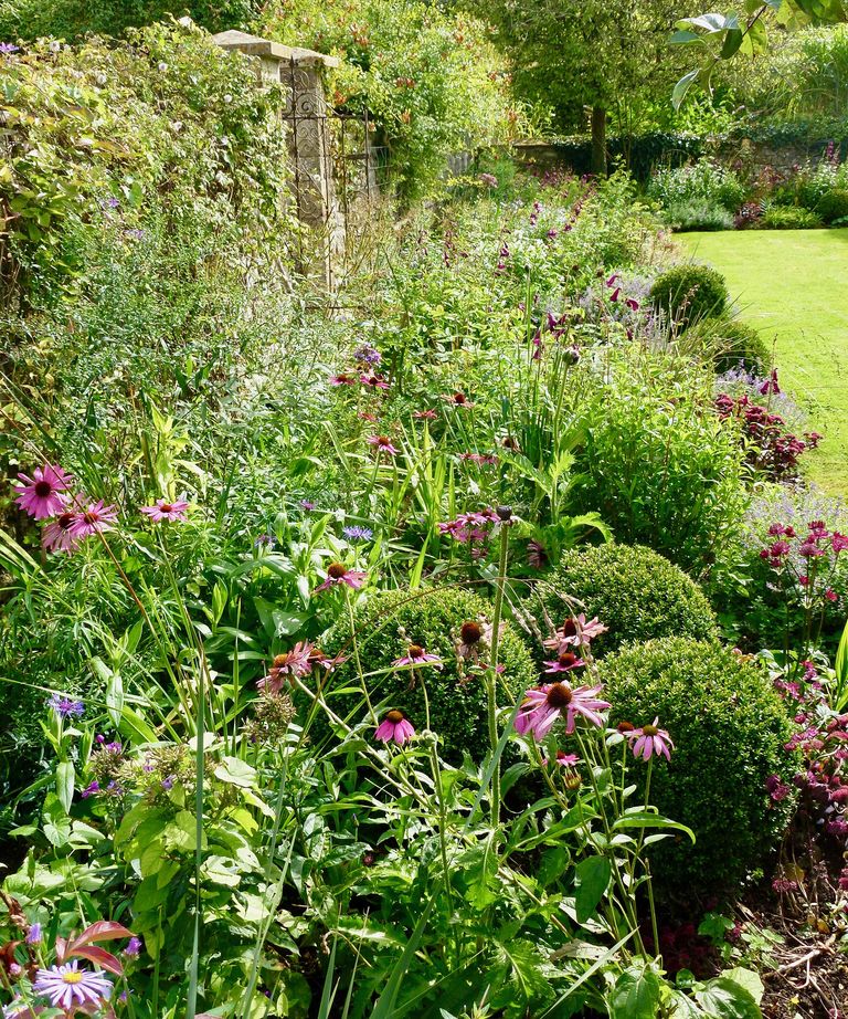 How to plant a cottage garden border | Homes and Gardens