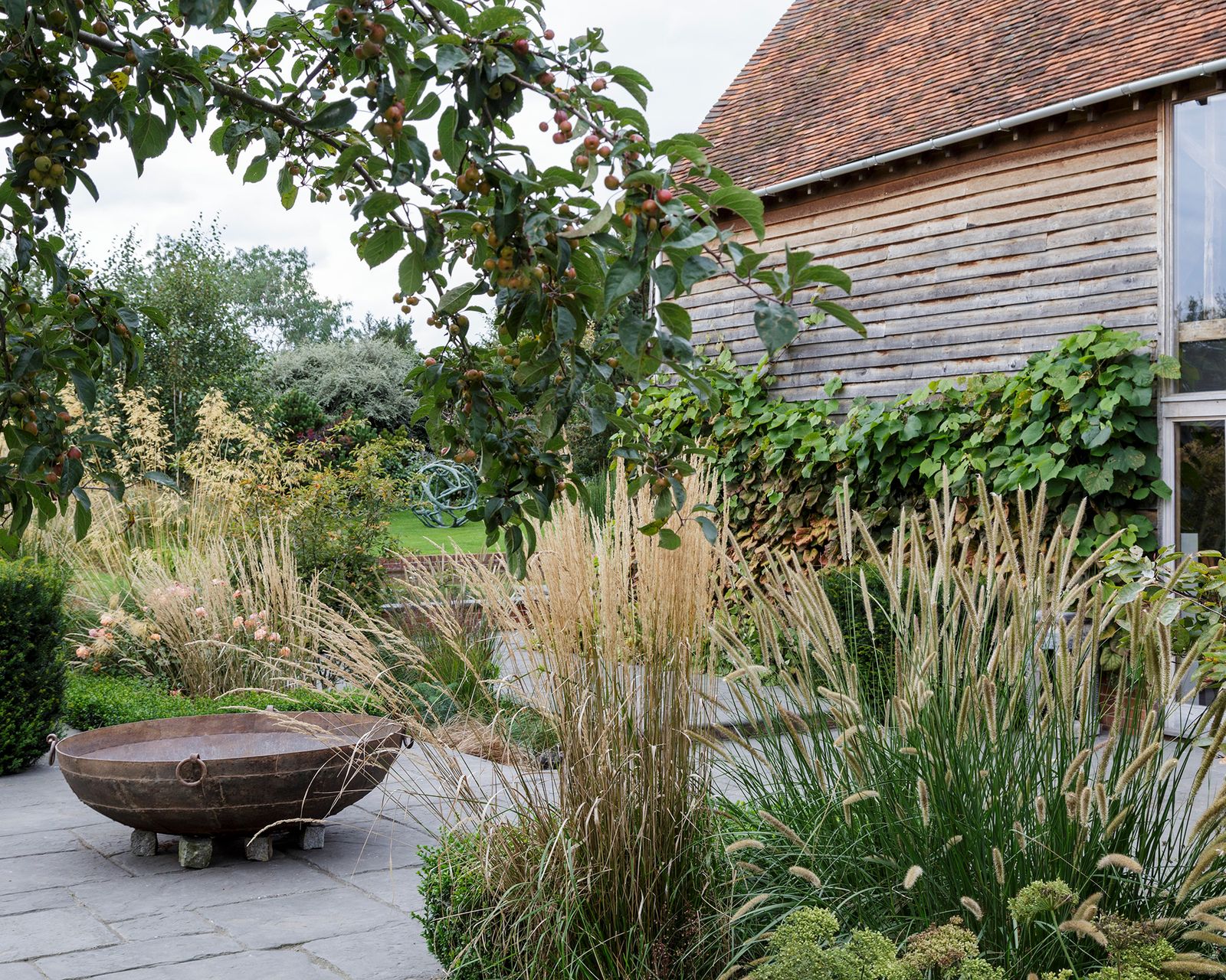 How to grow ornamental grasses: Easy-to-grow grasses | Homes and Gardens