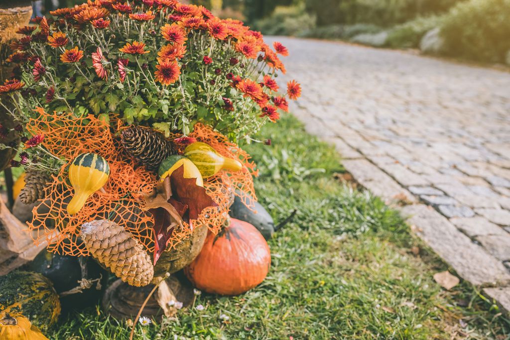 7 festive ways to decorate with mums for fall | Real Homes