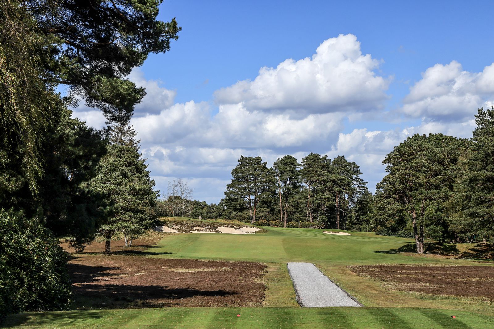 Ferndown Golf Club Old Course Review, Tee Times and Key Info | Golf Monthly