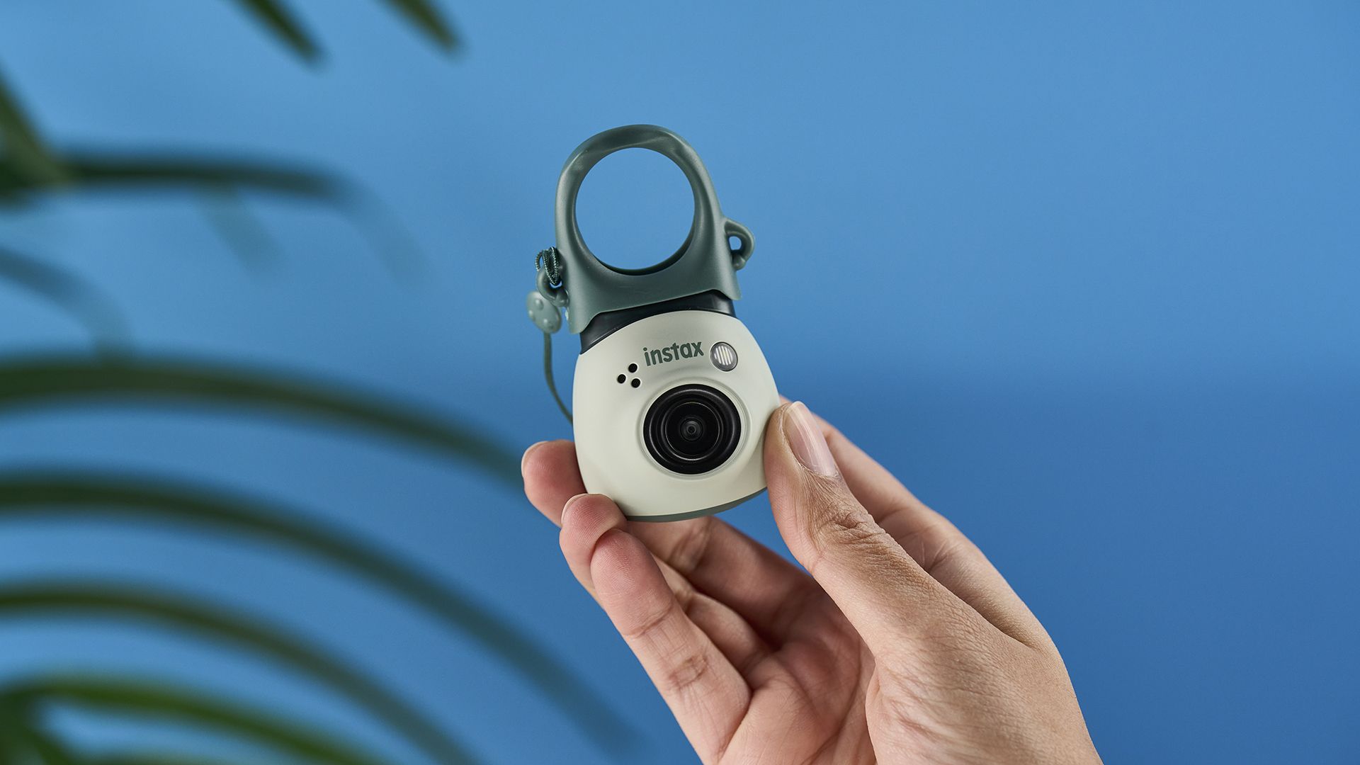 Forget camera phones — here are my 3 favorite compact cameras that are ...