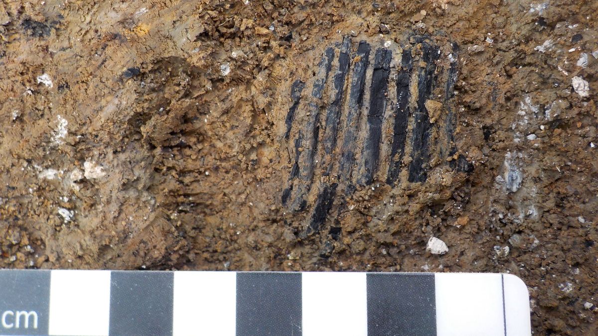 'Eye-catching' gold hair ring and Britain's oldest wooden comb found in ...