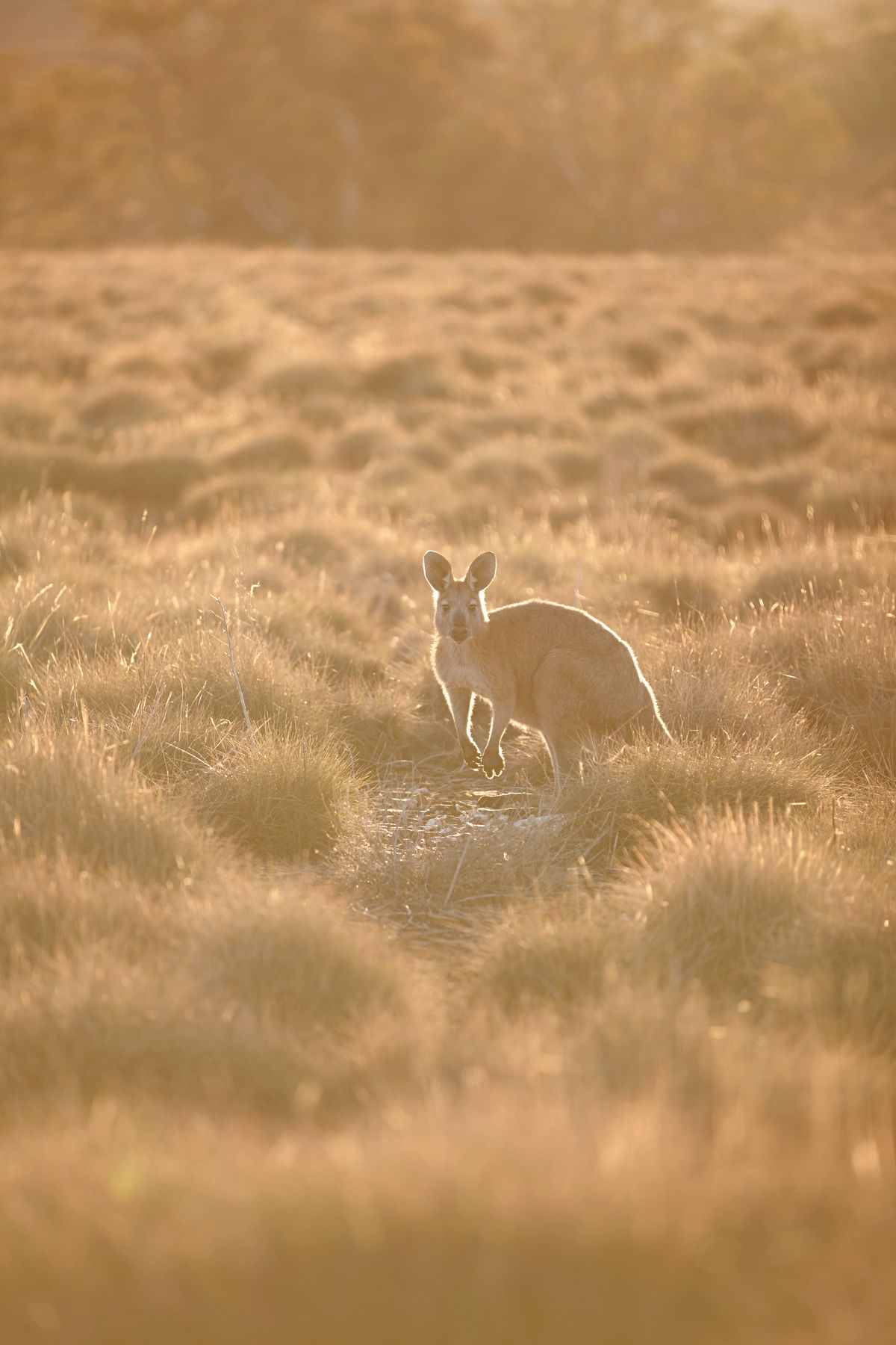 Learn to work with wide apertures for better results | Digital Camera World