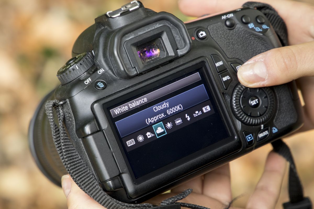 Fall landscape photo tips | Digital Camera World