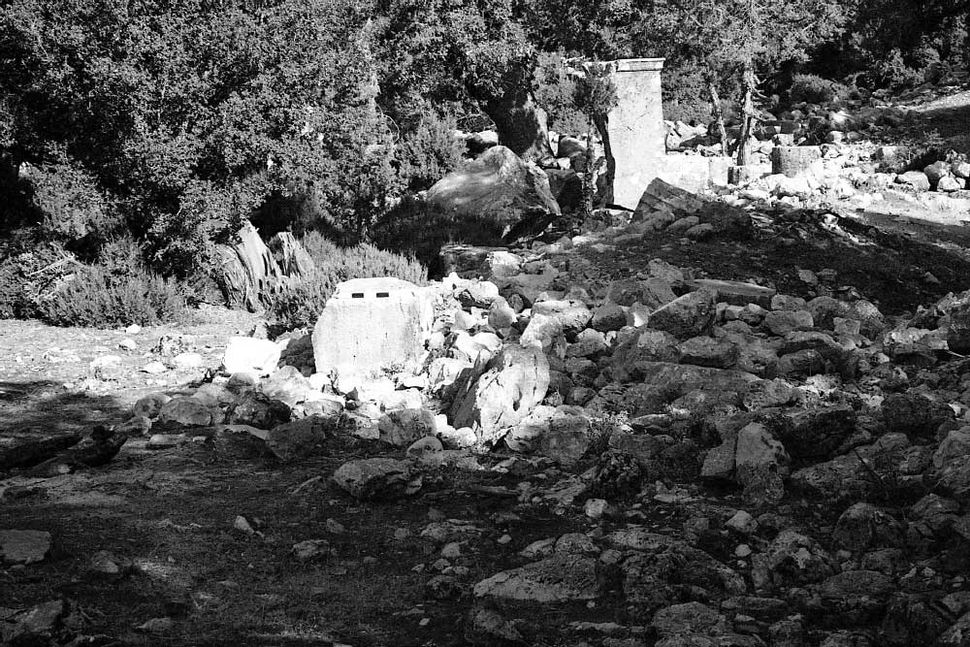 Image Gallery: Combat Sports in Ancient Rome | Live Science