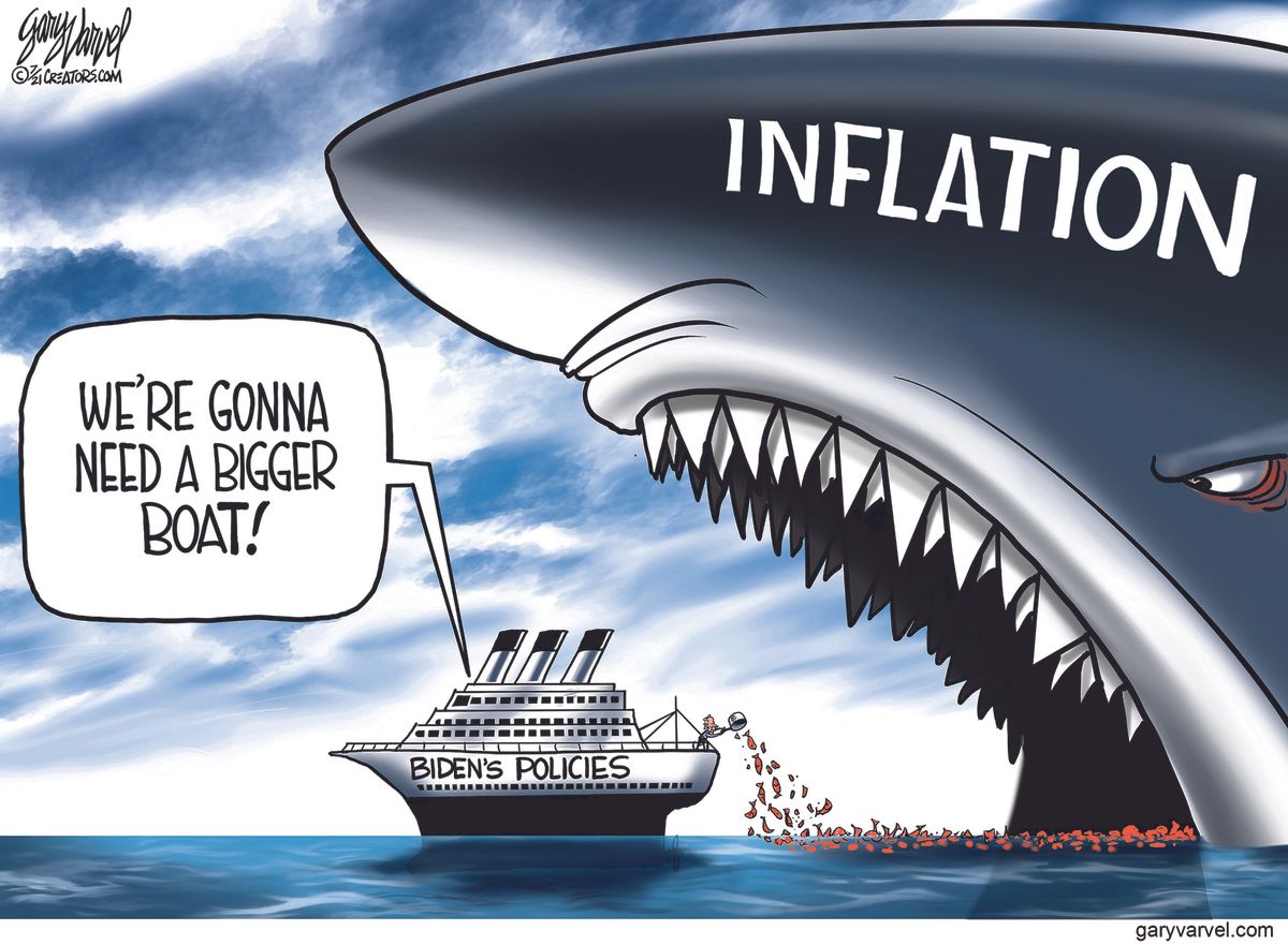 sharkbait | The Week