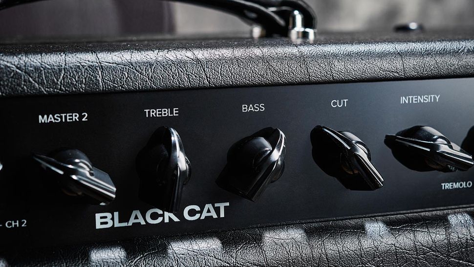 Bad Cat Black Cat 1x12 combo review | Guitar World