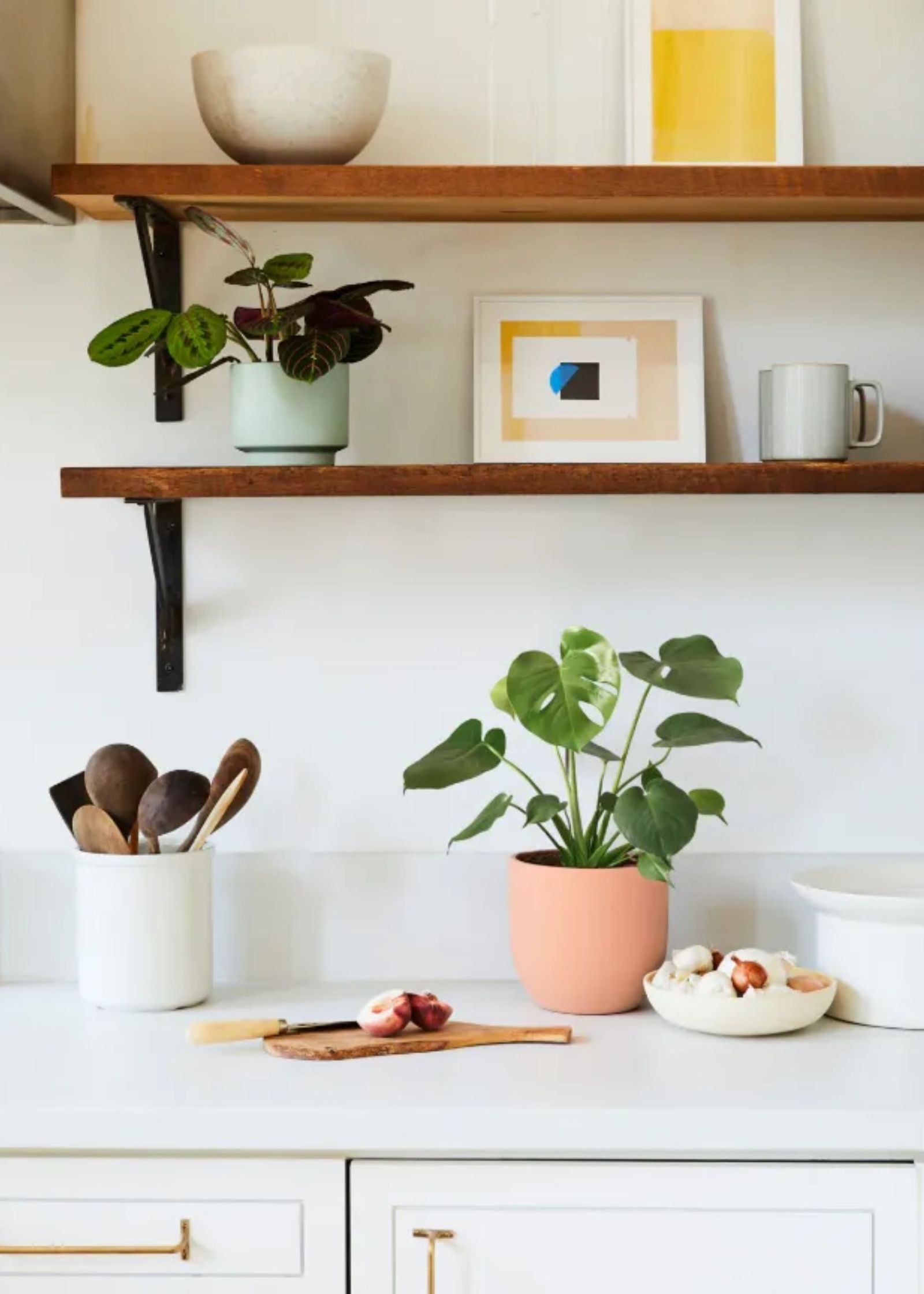 10 Monstera Ideas for Decorating With This Tropical Plant | Livingetc