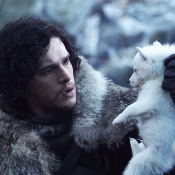 Game of Thrones Confirms Jon Snow's Direworlf, Ghost, Will Make a ...