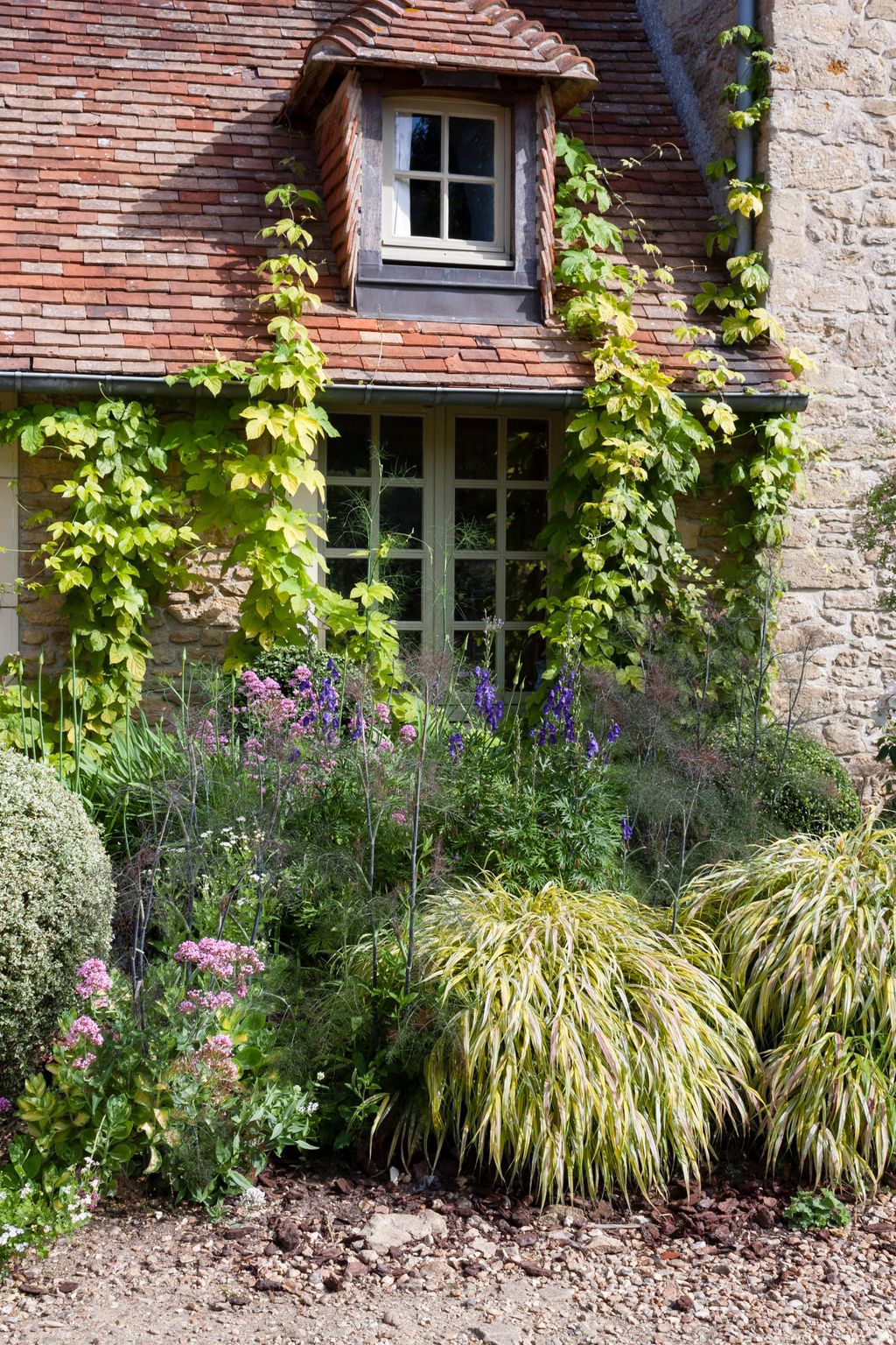 Best fast-growing plants: 10 vigorous garden plants | Homes and Gardens