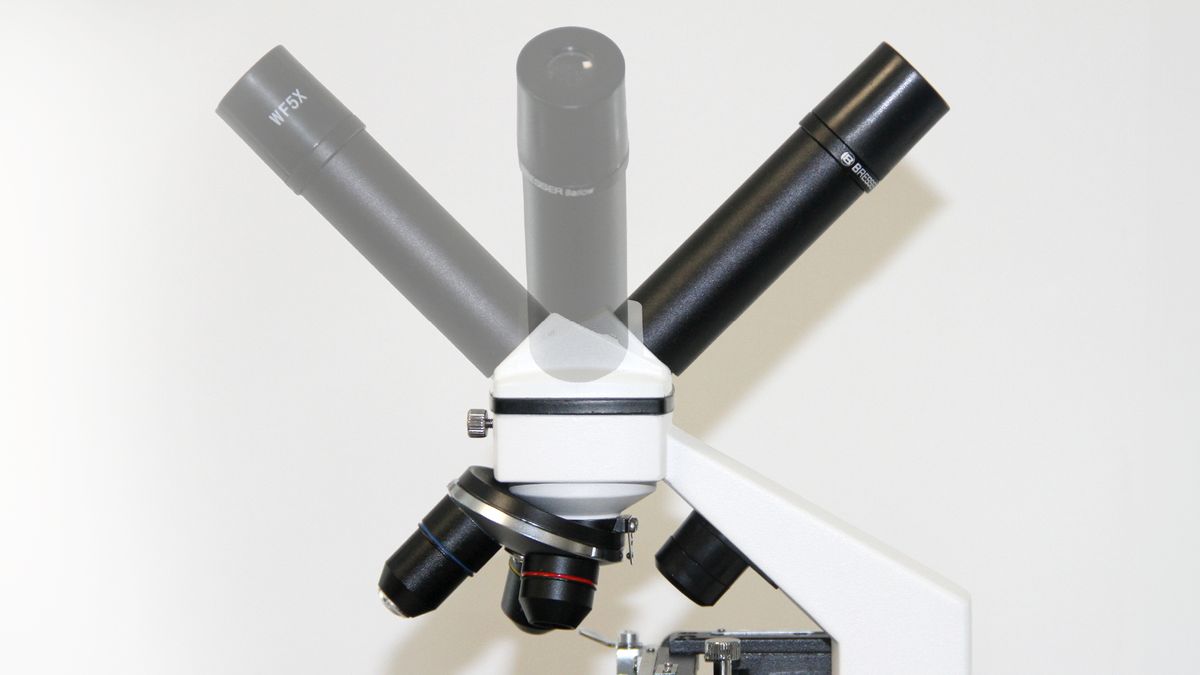 Bresser Biolux NV 20-1280x microscope review | Digital Camera World