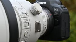 Why are some Canon lenses white? | Digital Camera World