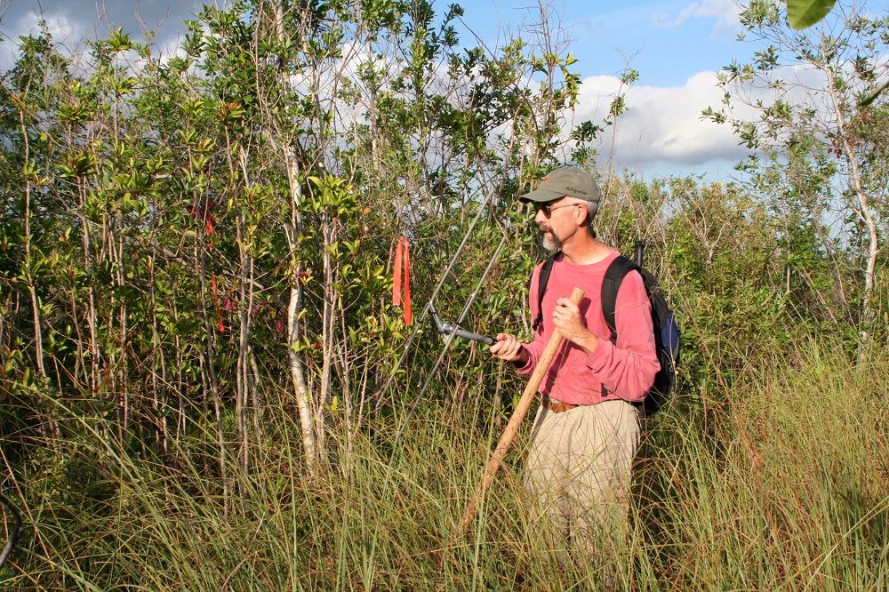 Photos: Giant Pythons Invade Everglades | Live Science