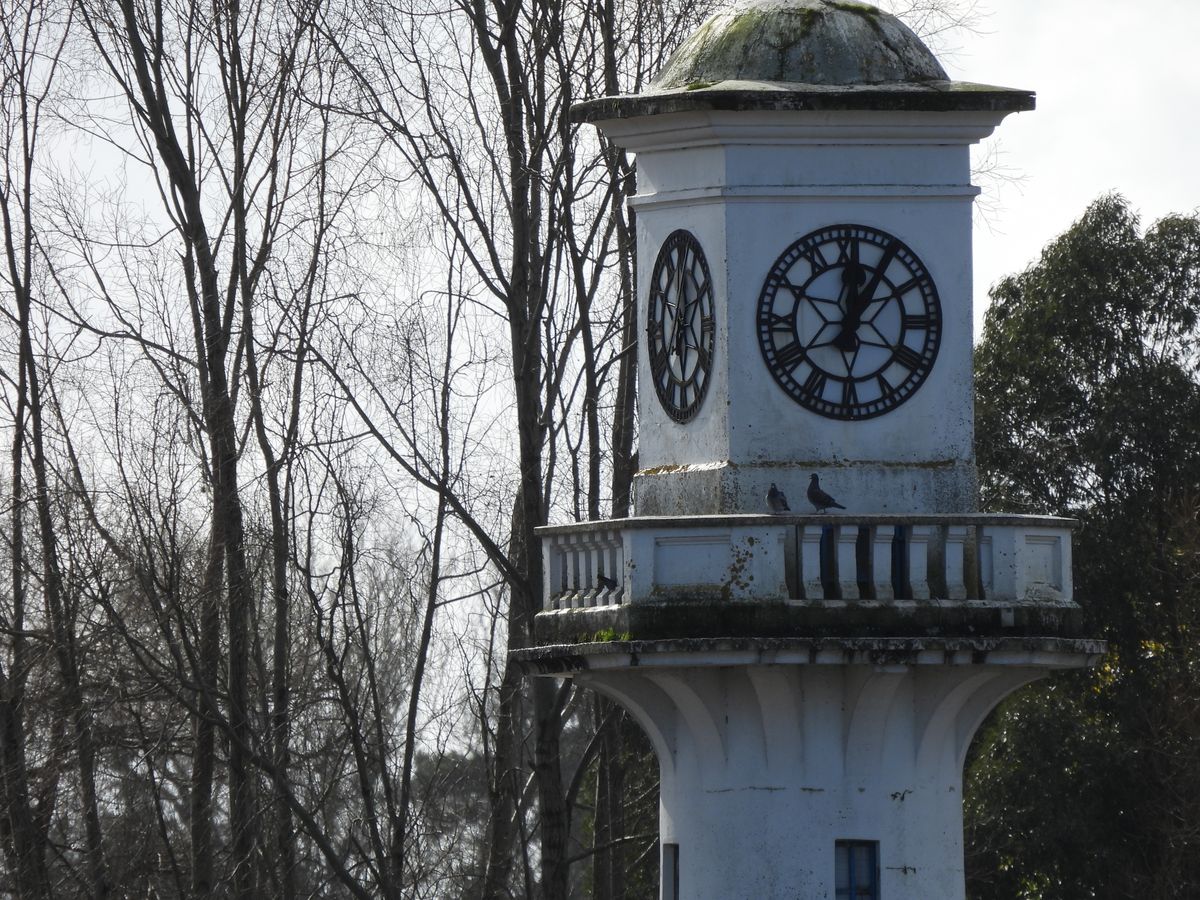 Nikon P950 review | TechRadar