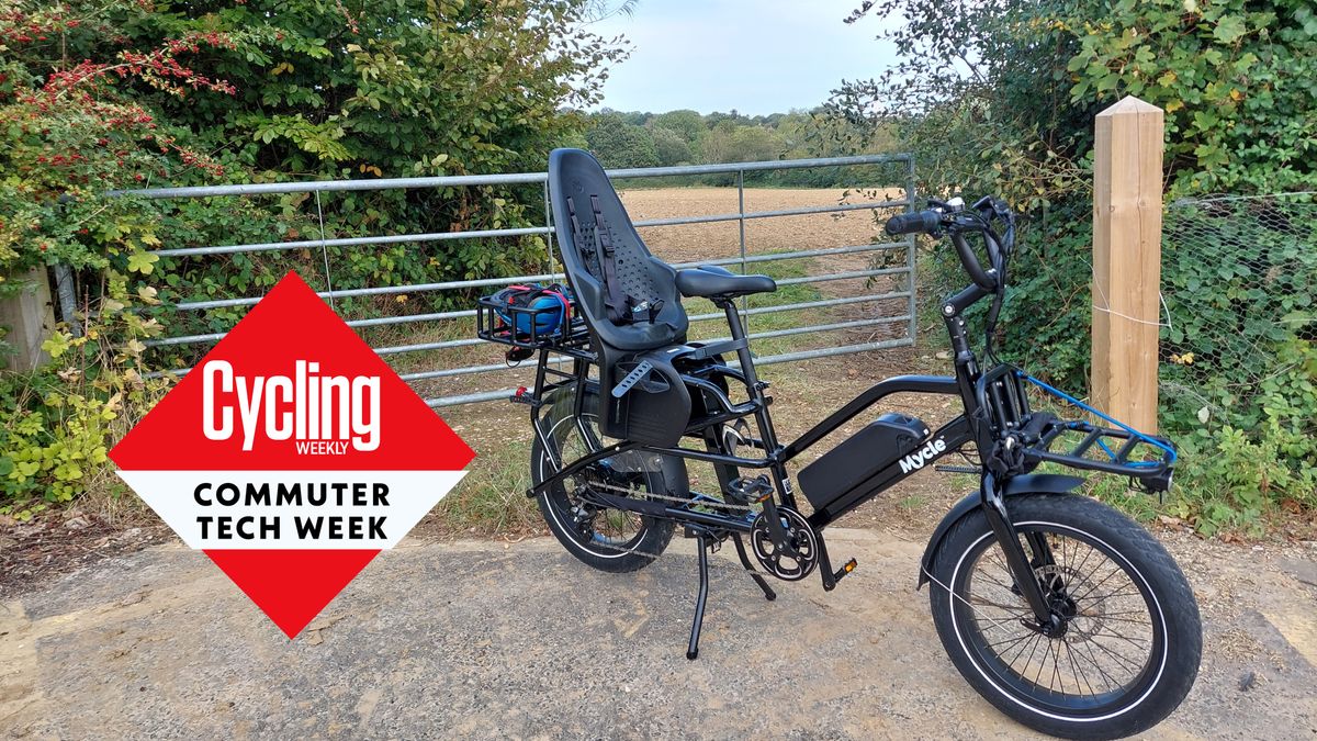 I tried to reinvent myself as a cargo bike mum - here's how the first ...