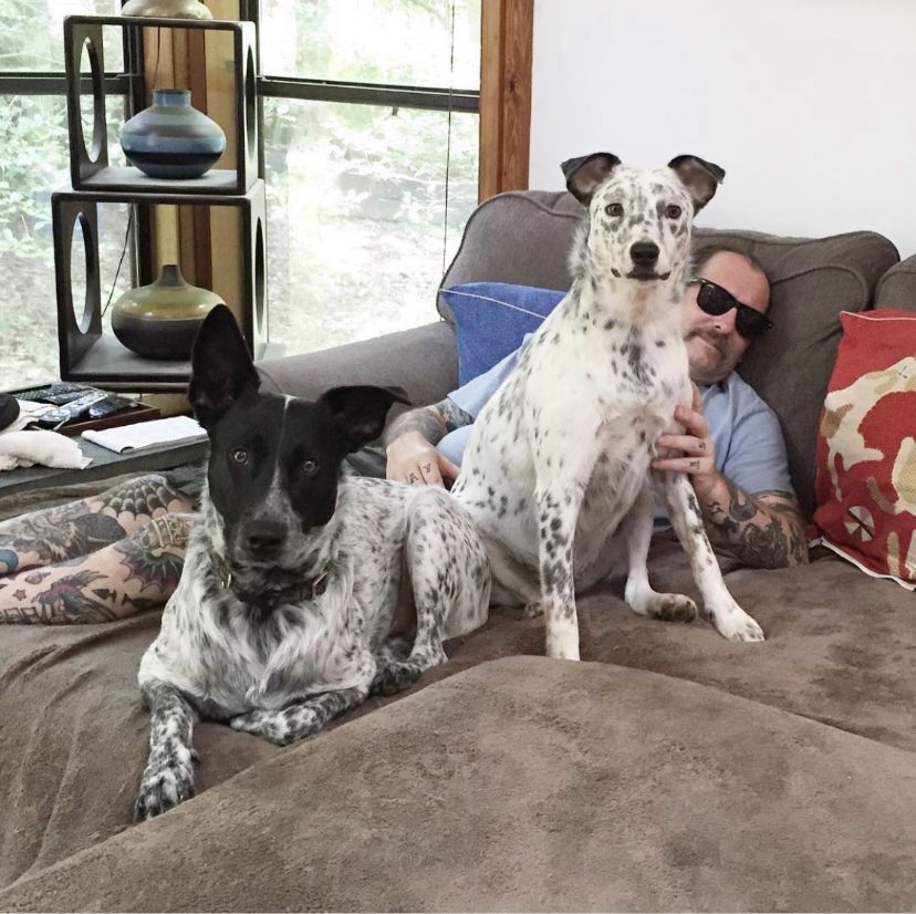 “Anyone who doesn’t talk to their pets is a psychopath!” We asked a ...
