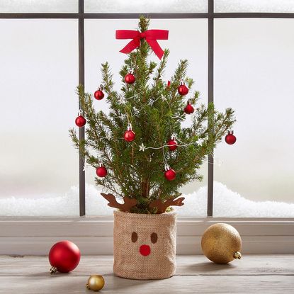 Marks and Spencer is selling a letterbox Christmas tree | Ideal Home