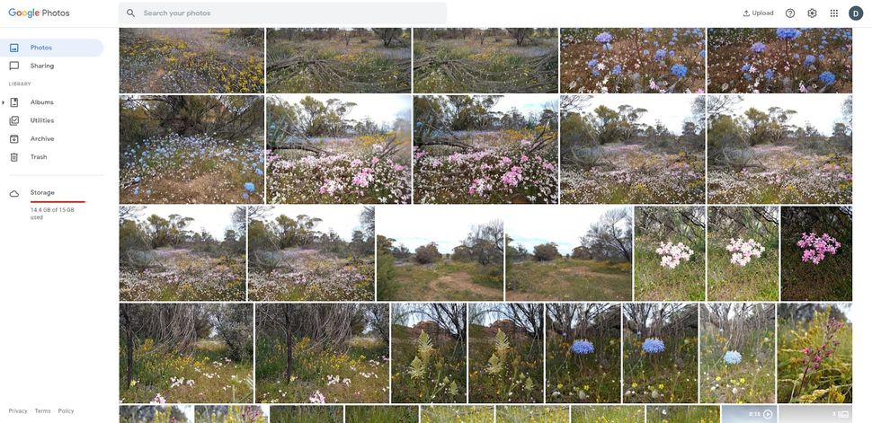 Google Photos review | Creative Bloq