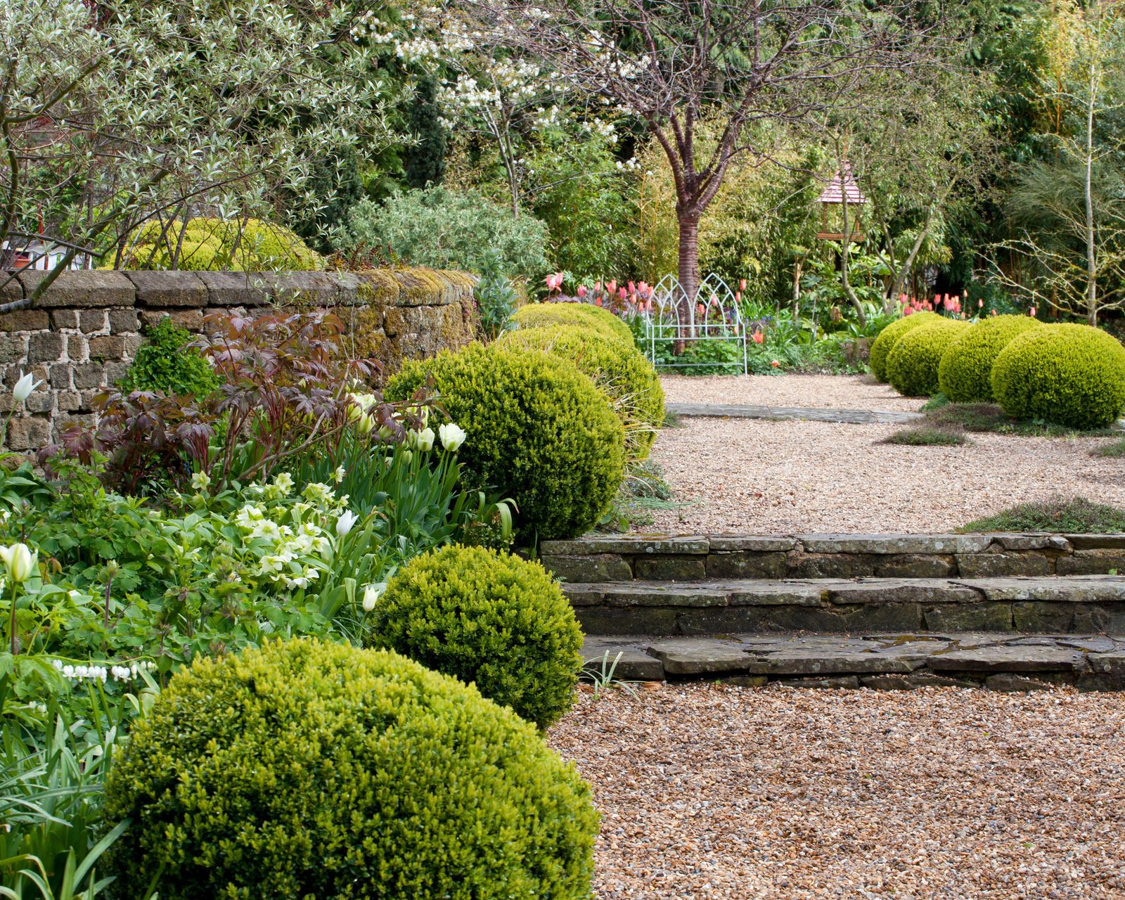 Topiary: 15 ways to use clipped evergreens in gardens | Homes and Gardens
