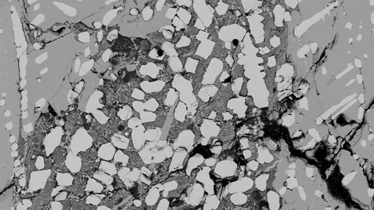 Never-before-seen 'crystal-like matter' hidden in a chunk of fossilized ...